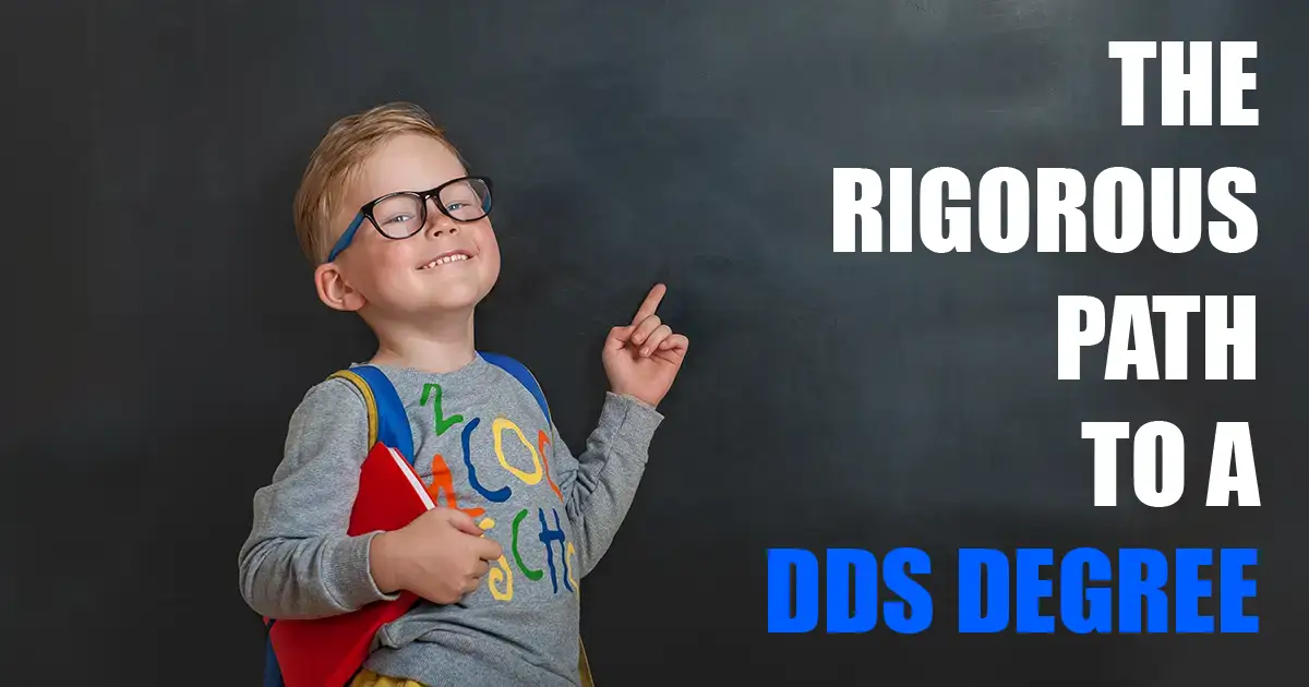 The Rigorous Path to a DDS Degree in Washington